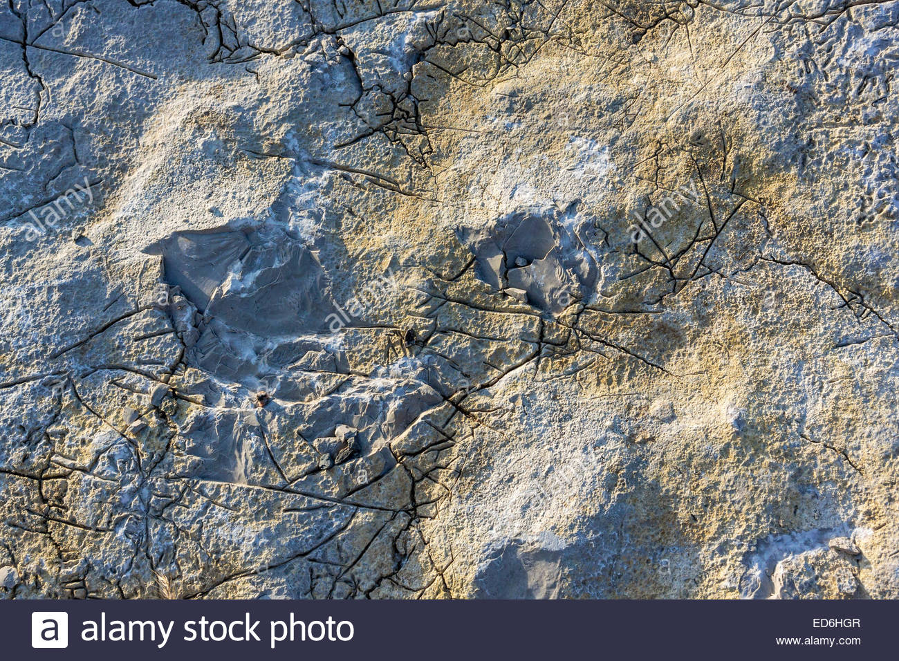 Sedimentary Carbonate Rock High Resolution Stock Photography and Images ...