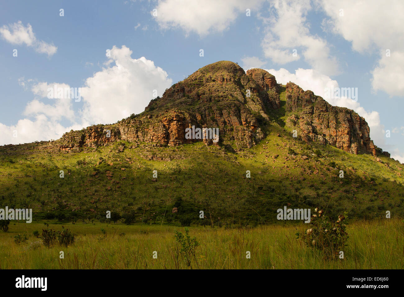 Marakele national park hi-res stock photography and images - Alamy