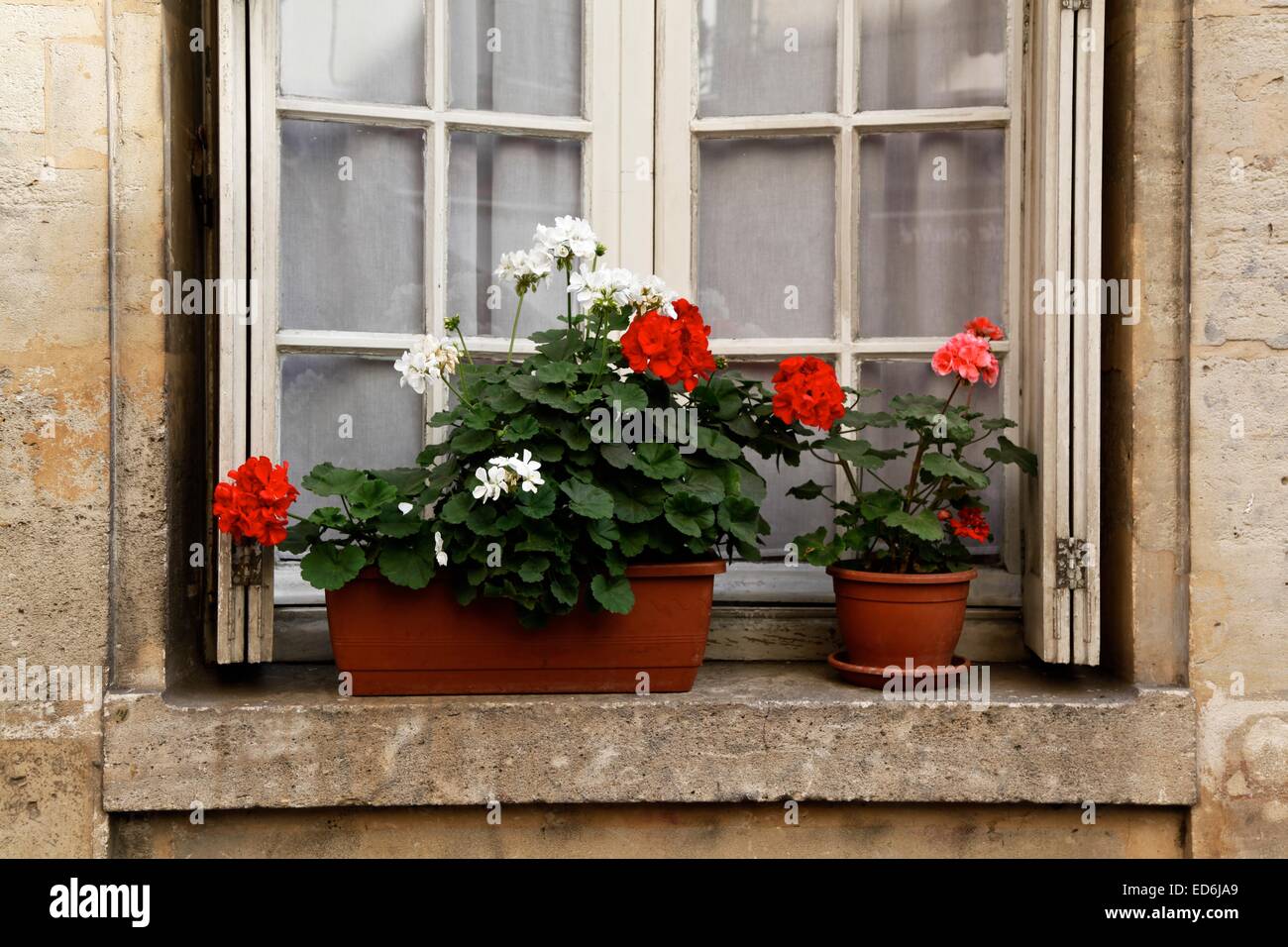 A window with some flowers on the windowsill Stock Photo - Alamy