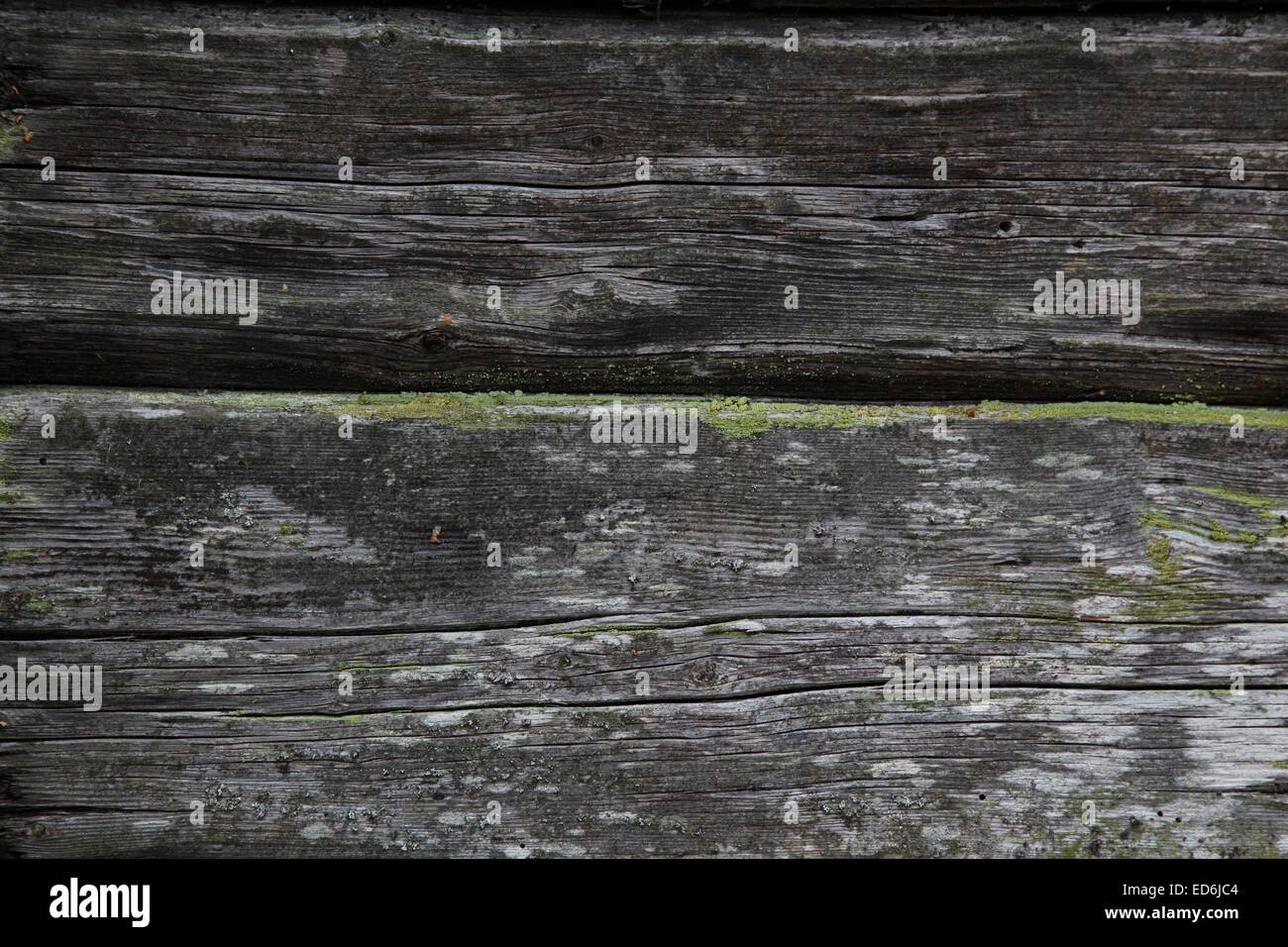 Gray weathered wood detail Stock Photo - Alamy