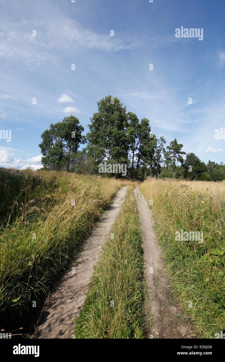 Russian countryside in summer Stock Photo - Alamy