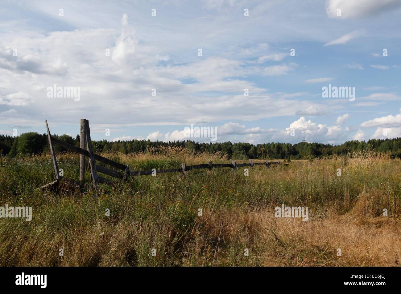 Russian countryside in summer Stock Photo - Alamy