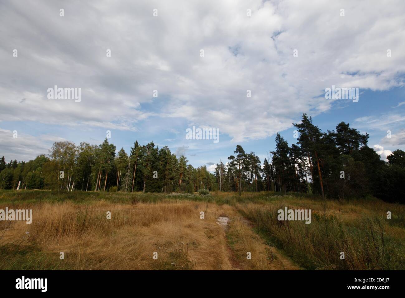 Russian countryside hi-res stock photography and images - Alamy