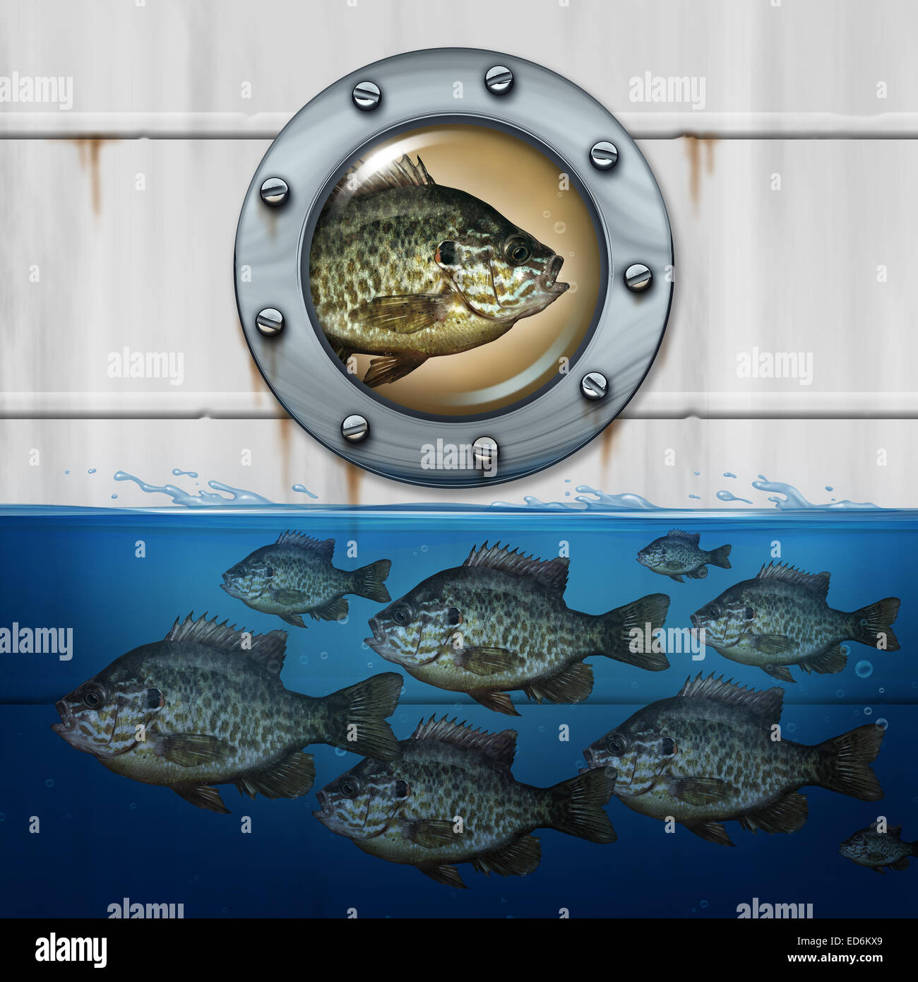 Different thinking business concept as a group of fish swimming in ...