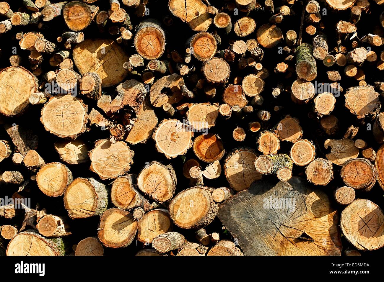 A pile of lumber left to dry Stock Photo - Alamy