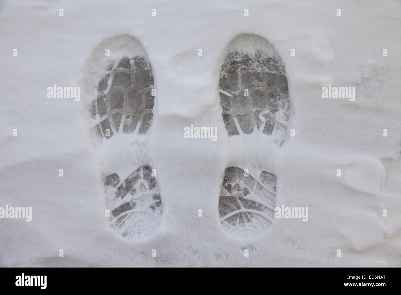 fresh footprints in snow closeup Stock Photo - Alamy