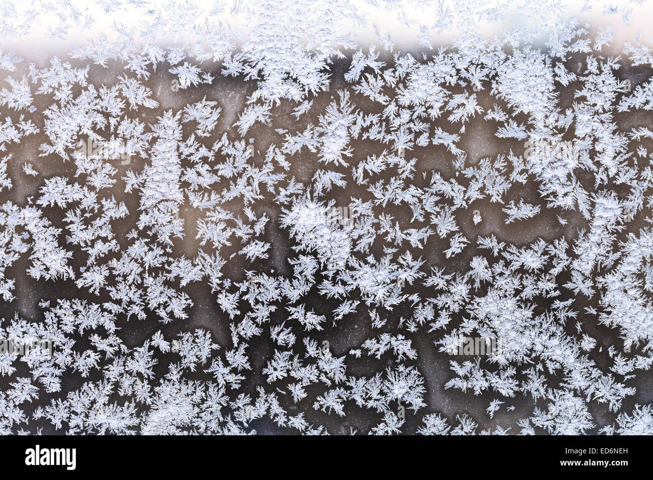 snowflakes and frost pattern on window pane in cold winter evening ...