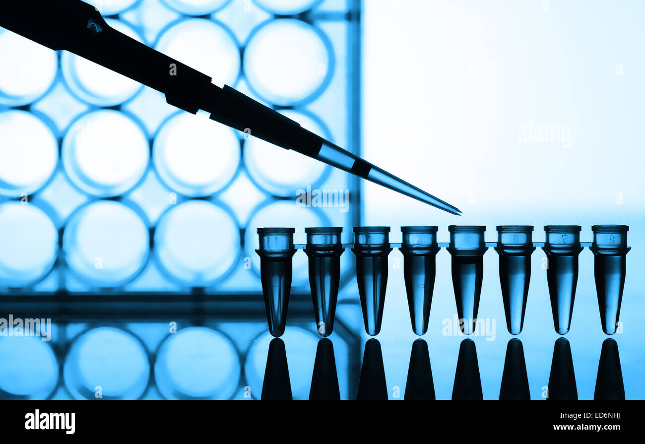Microtubes and micropipet lab test Stock Photo - Alamy