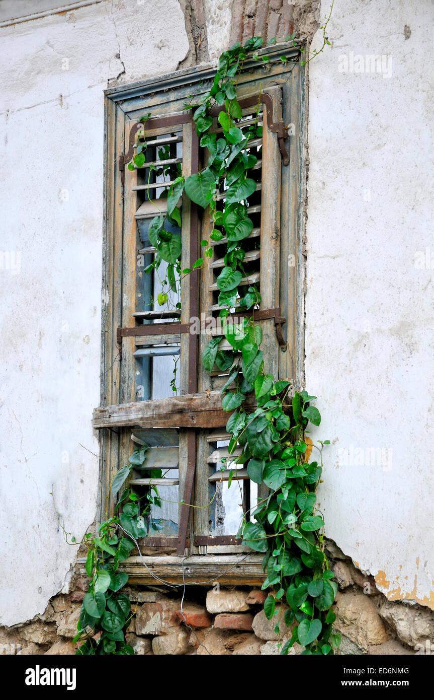 Window in ruined house Stock Photo - Alamy