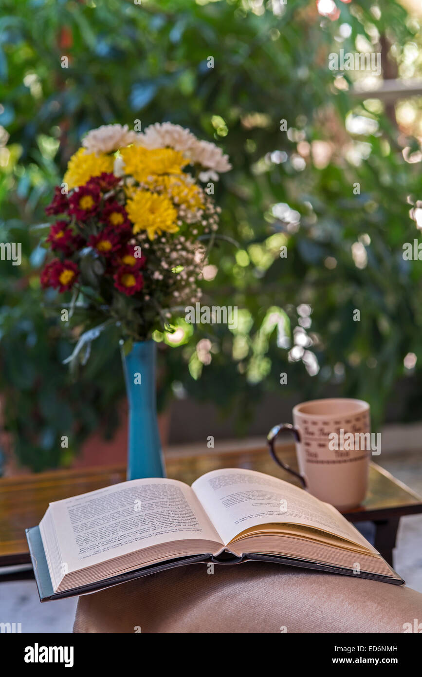 Open book on chair arm Stock Photo - Alamy