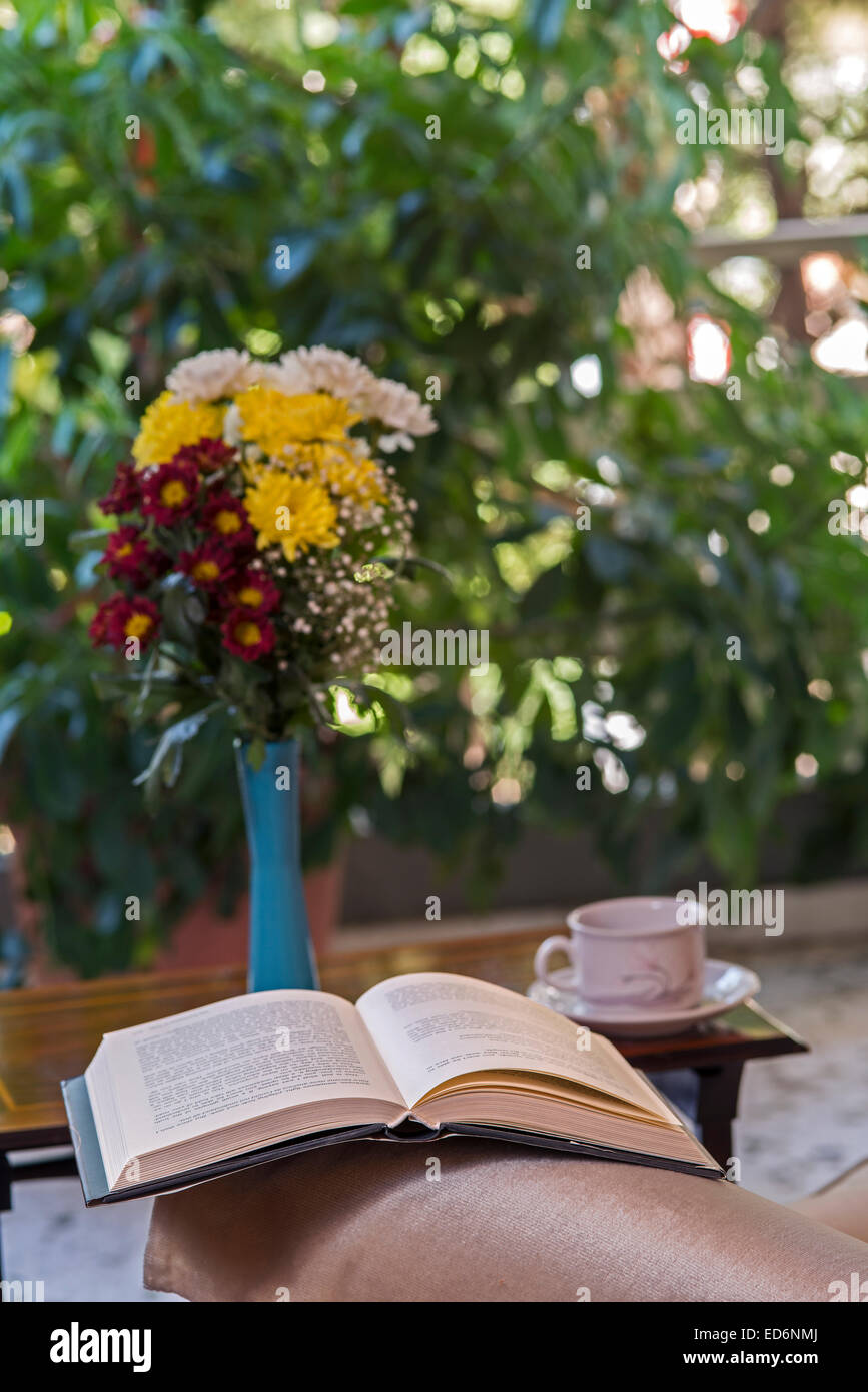 Open book on chair arm Stock Photo - Alamy
