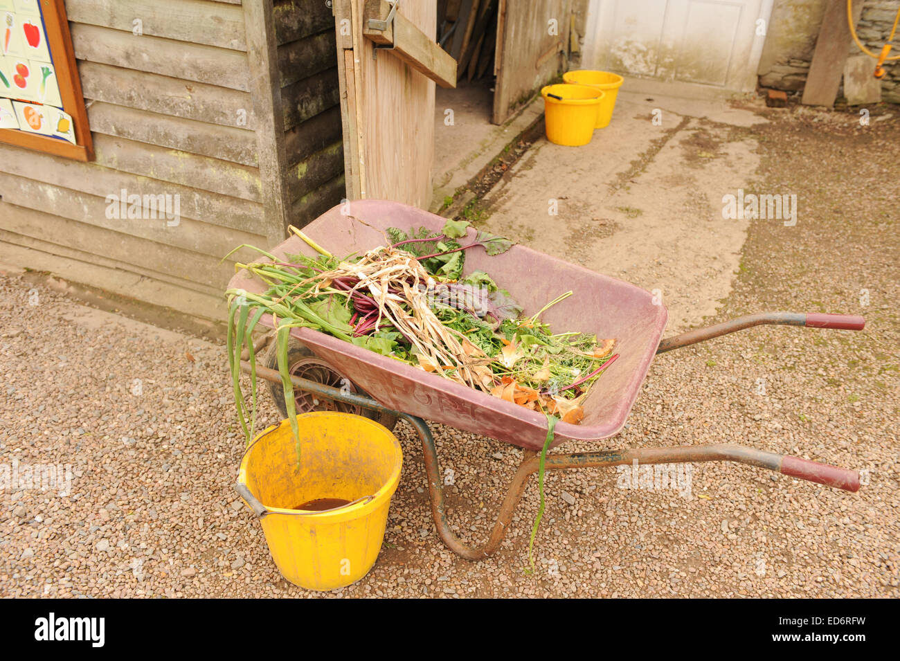 Wheelbarrrow in the Kitchen Garden at Arlington Court, Barnstaple ...