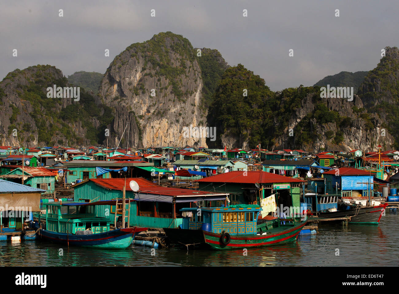 Cai Beo Floating Fishing Village, Cat Ba Island, Vietnam Stock Photo ...
