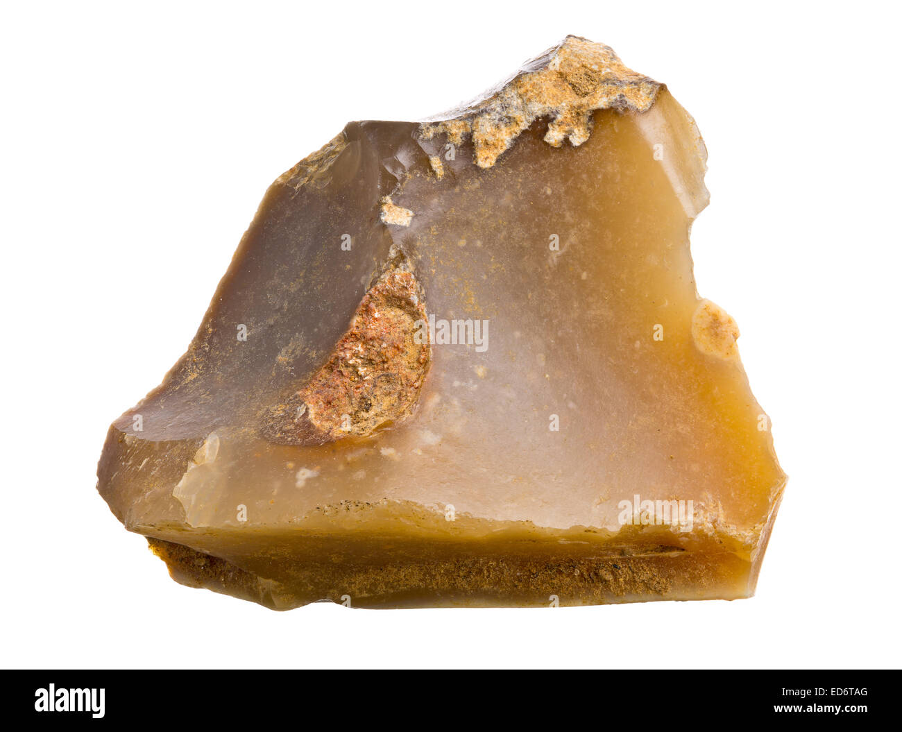 Brown flint (flintstone, SiO2) specimen in limestone Stock Photo - Alamy
