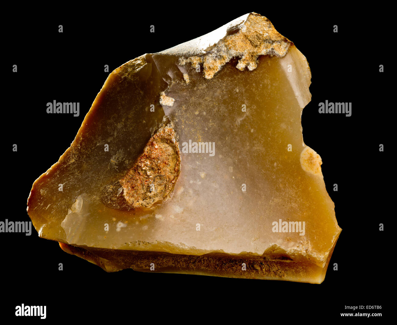 Brown flint (flintstone, SiO2) specimen in limestone Stock Photo - Alamy