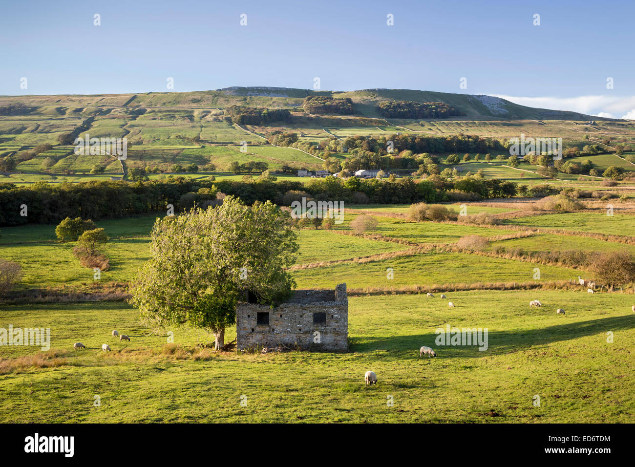 Raydale hi-res stock photography and images - Alamy