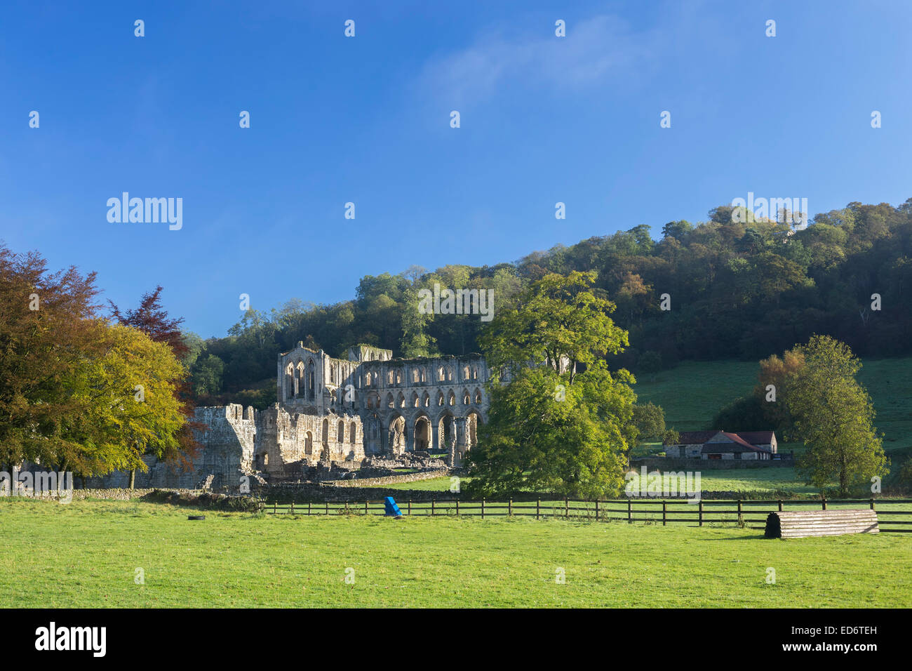 Rievaulx Abbey near Helmsley in North Yorkshire Stock Photo - Alamy