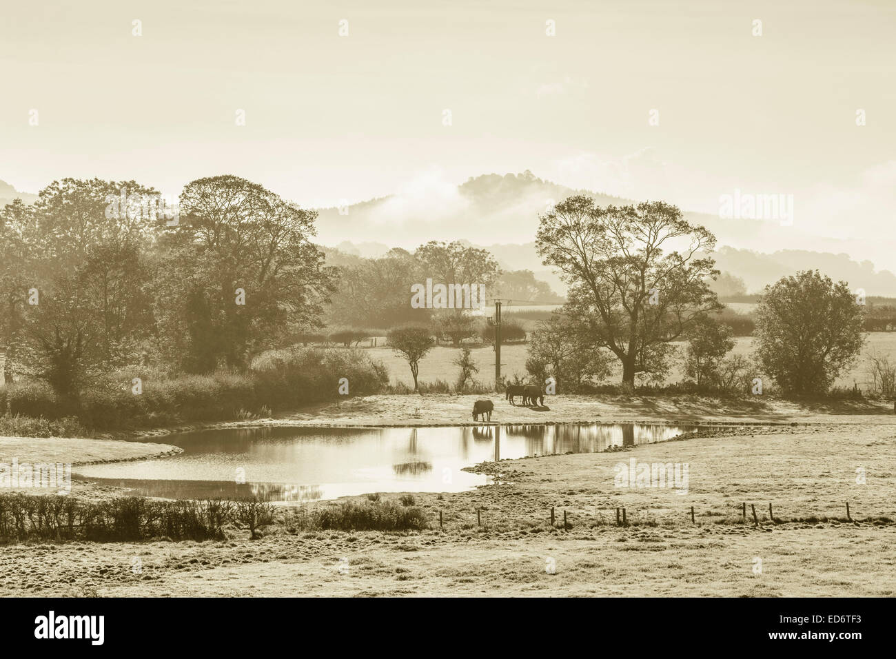 Hood hill from Boltby, North Yorkshire Stock Photo - Alamy