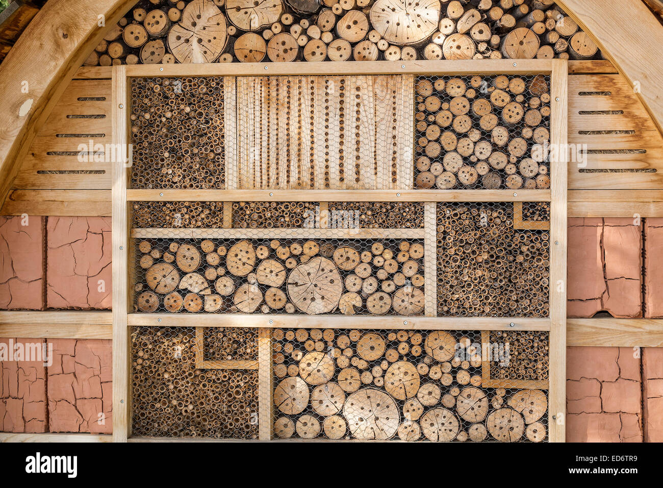 Leaf Cutter Bee Hives (megachilids) Monte Carlo Monaco Stock Photo - Alamy