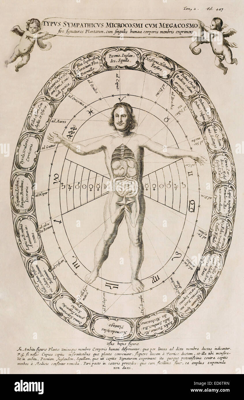 Zodiac man, 17th century illustration. See description for more ...