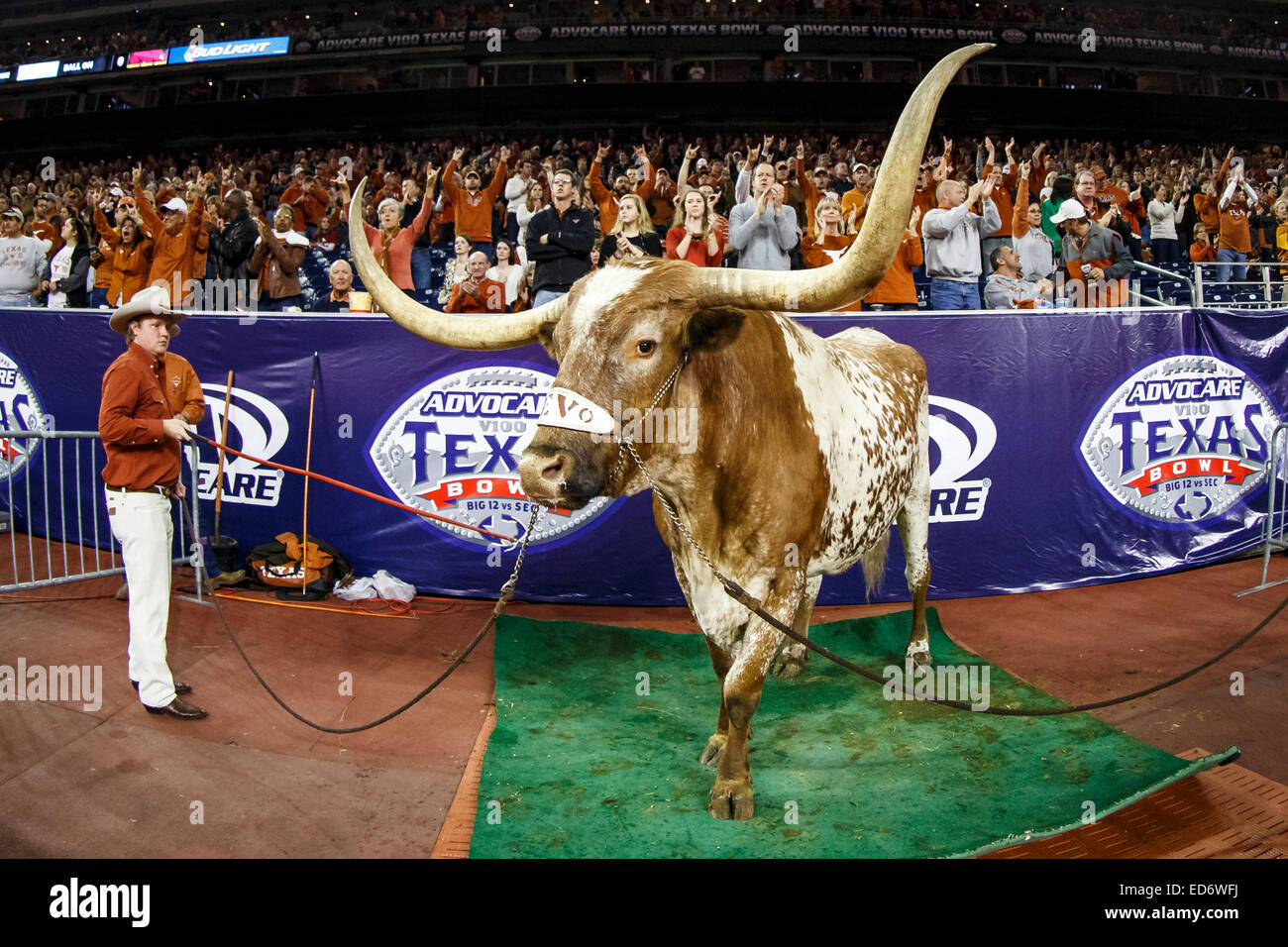 Razorbacks mascot hi-res stock photography and images - Alamy