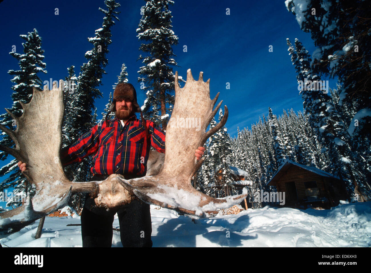 Stuart Macalister Trapper Yukon Stock Photo - Alamy