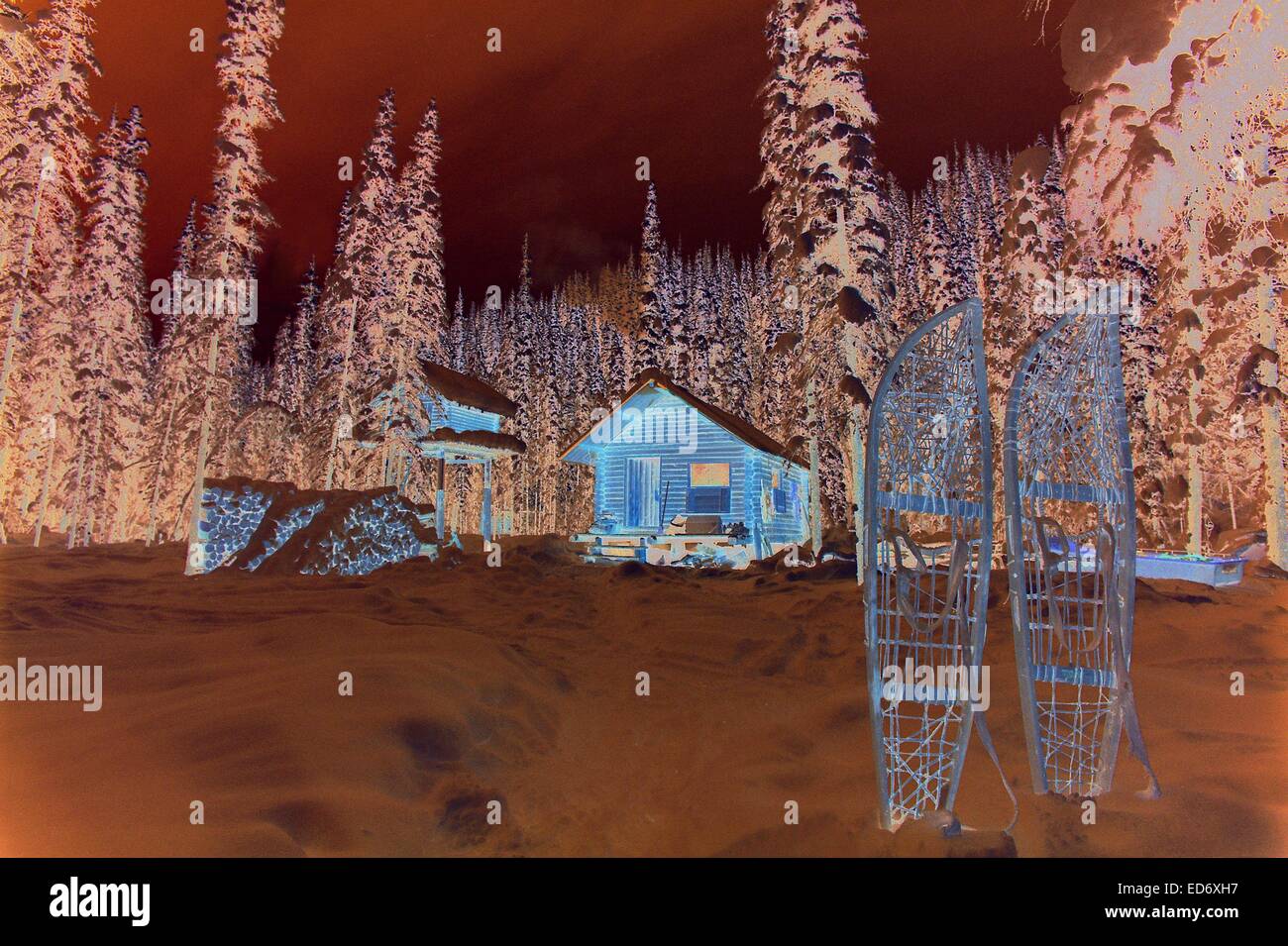 Canada Trapper Yukon High Resolution Stock Photography and Images - Alamy