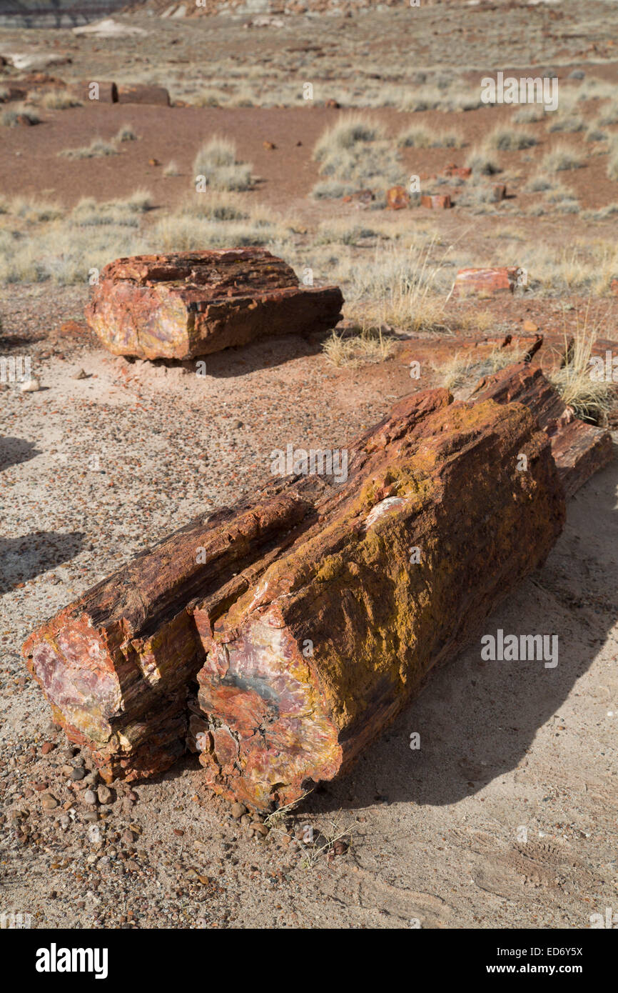 Petrified Person High Resolution Stock Photography and Images - Alamy