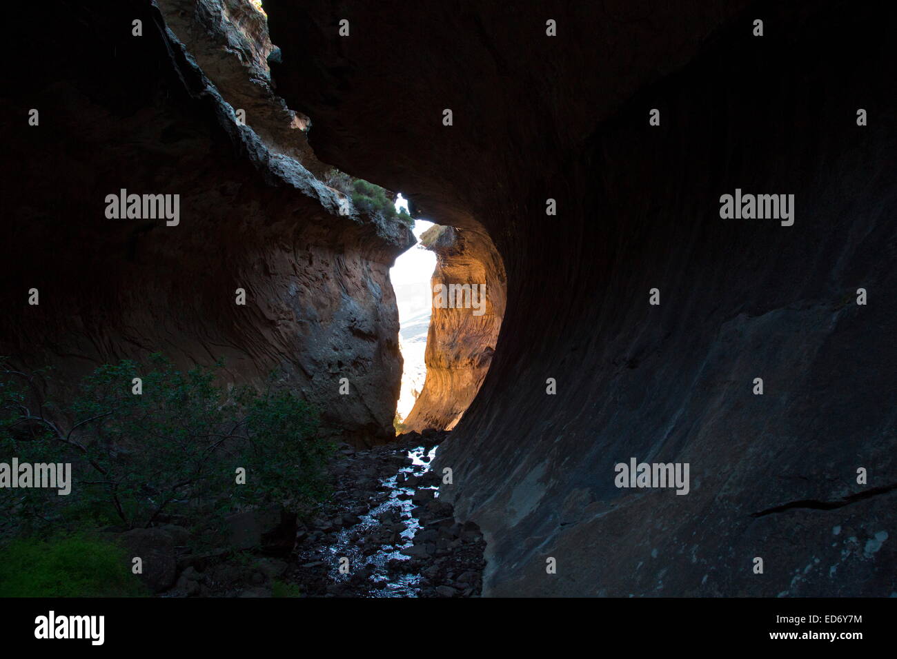 Echo Ravine canyon in the Golden Gate Highlands National Park ...