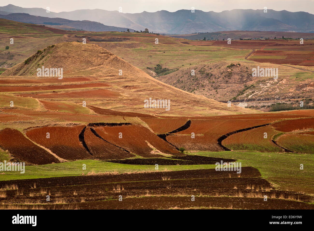 Agriculture in lesotho hi-res stock photography and images - Alamy