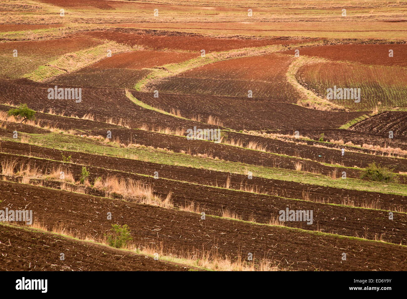 Lesotho basotho pattern hi-res stock photography and images - Alamy