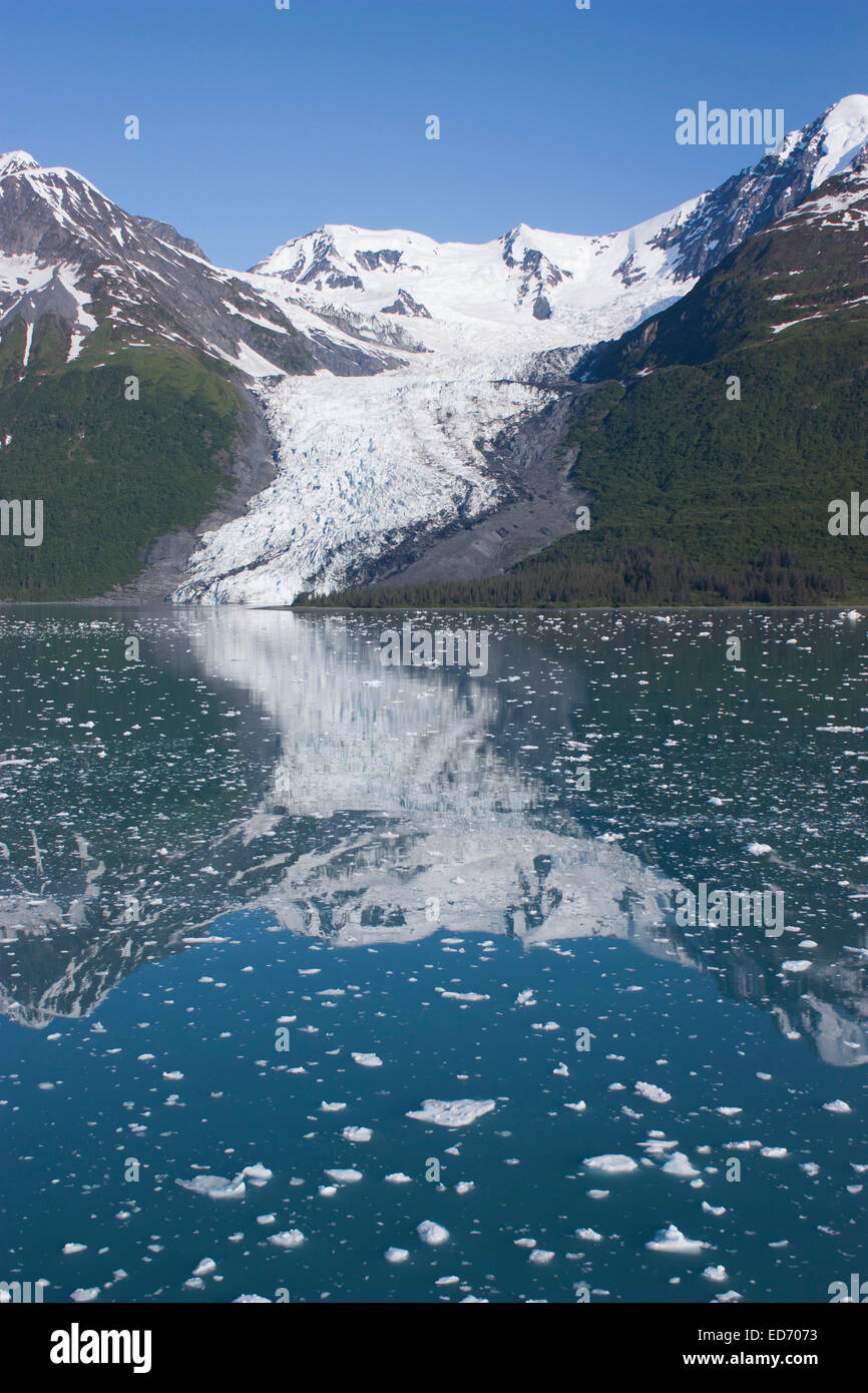 Glacier fiord hi-res stock photography and images - Alamy