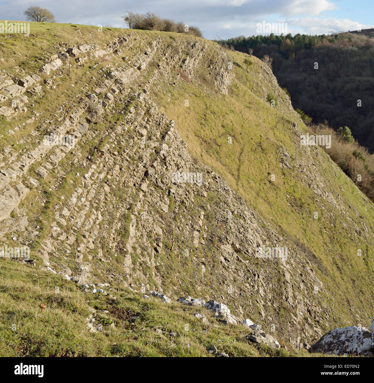 Burrington hi-res stock photography and images - Alamy