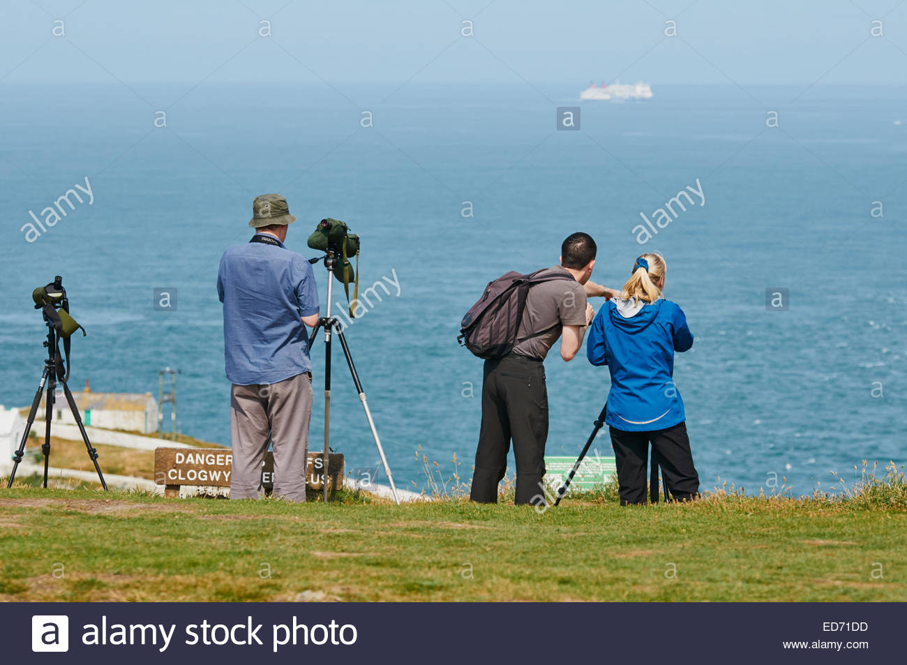 South Stack Reserve High Resolution Stock Photography and Images - Alamy
