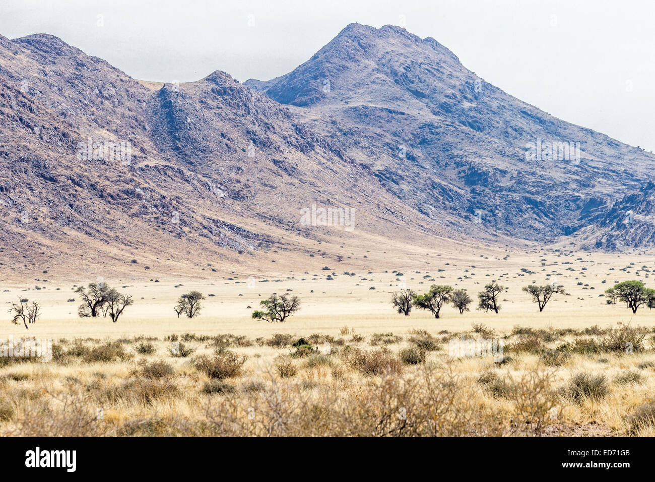 Landscape, Namib-Naukluft National Park, Namibia Stock Photo - Alamy