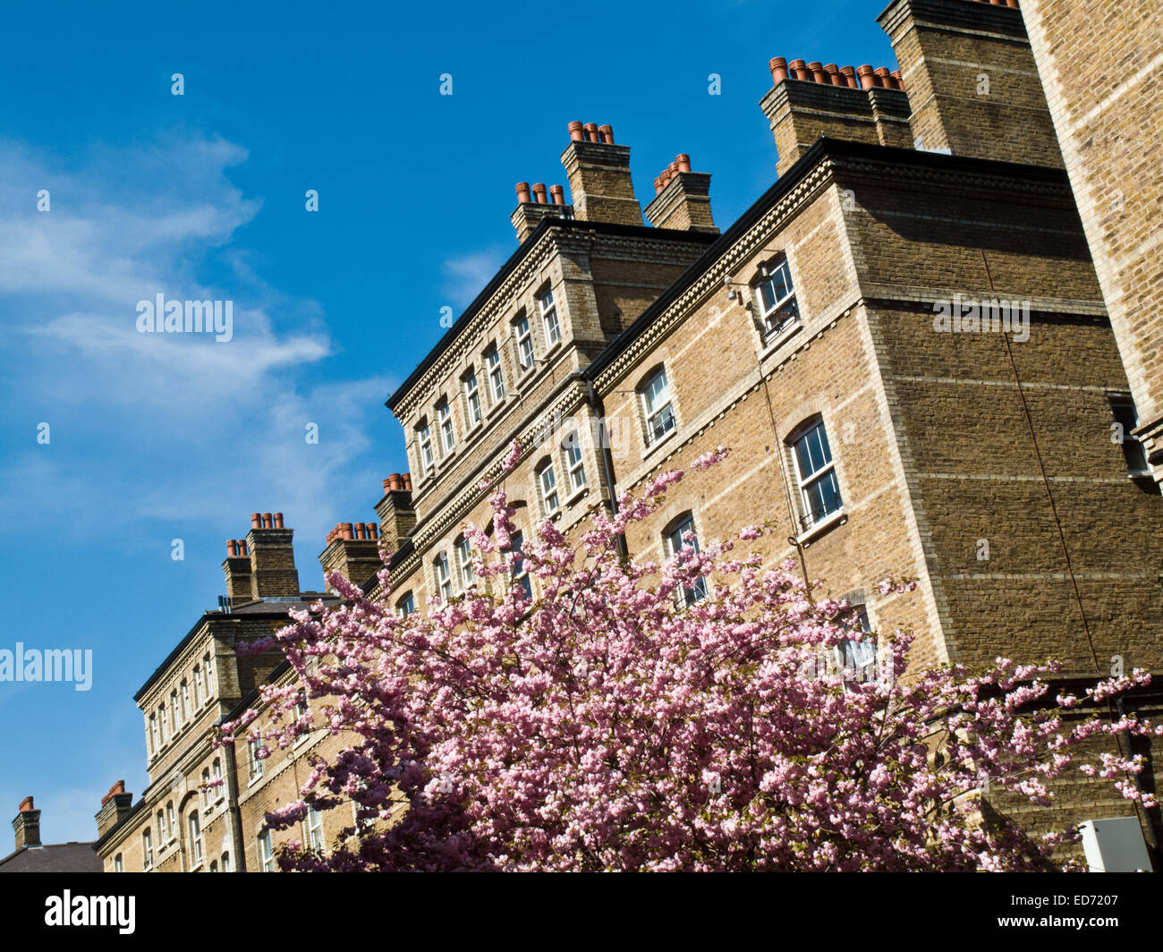 Peabody estate hi-res stock photography and images - Alamy