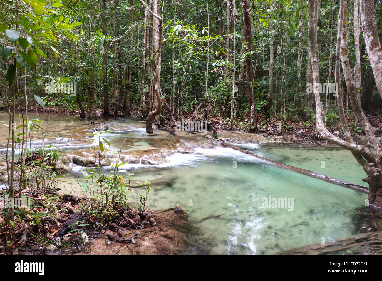 Hot water stream from The Emerald Pool, natural pool at Sra Morakot ...
