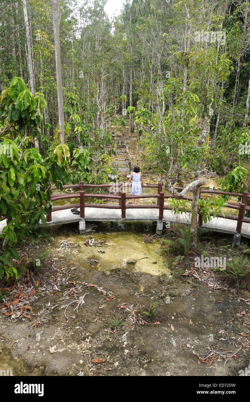 Hiking Trail to The Emerald Pool, natural pool at Sra Morakot, Khao Pra ...