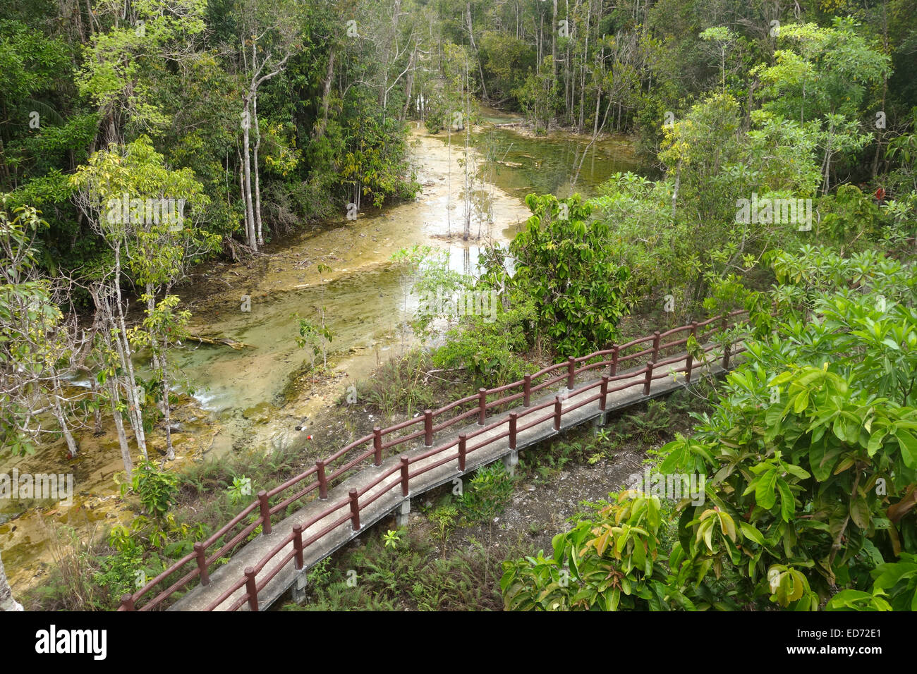 Hiking Trail to The Emerald Pool, natural pool at Sra Morakot, Khao Pra ...