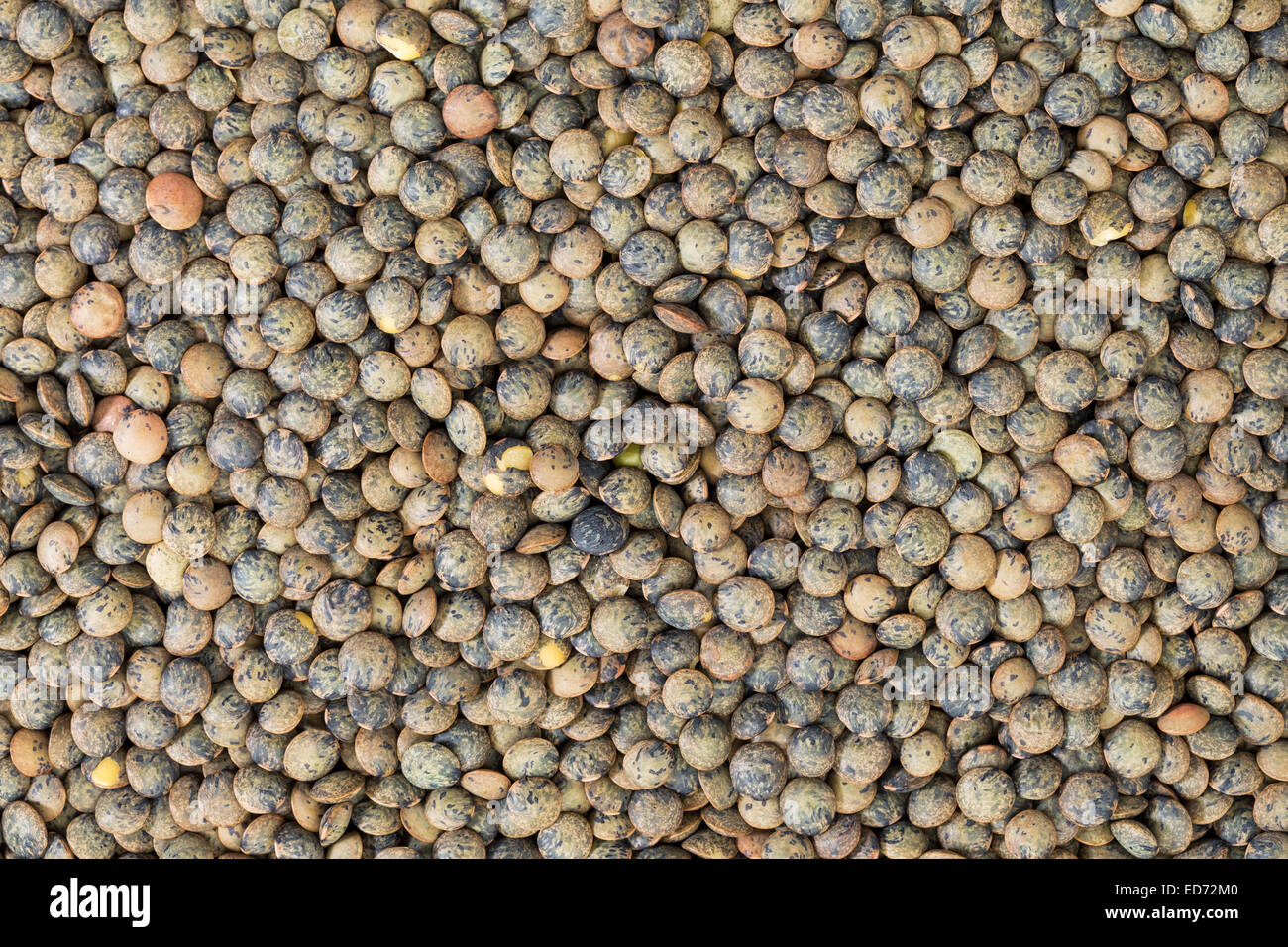 background and texture of dried French green lentils Stock Photo - Alamy