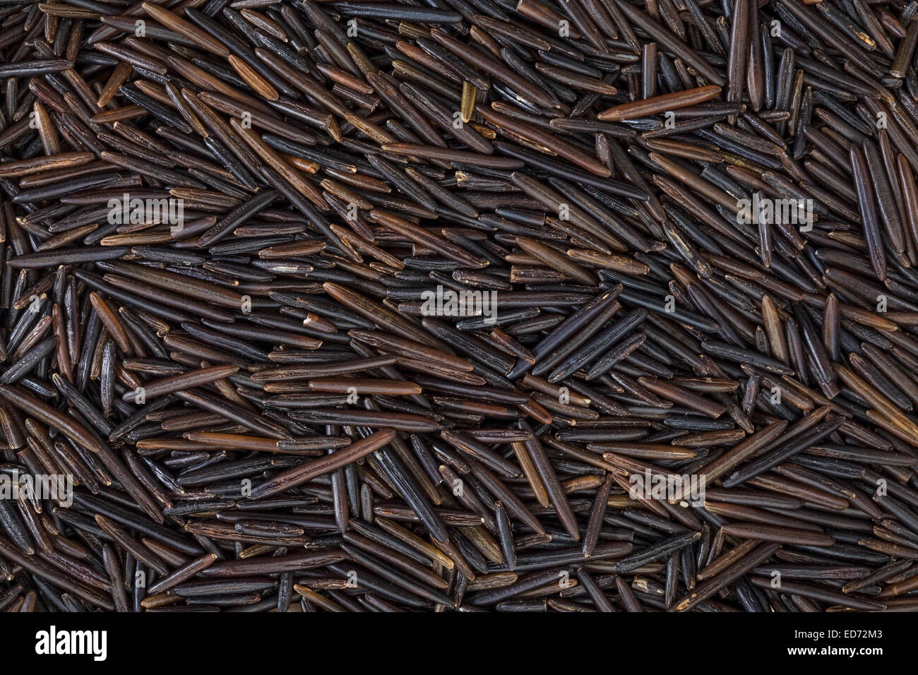 background of wild rice grain (also called Canada rice, Indian rice ...