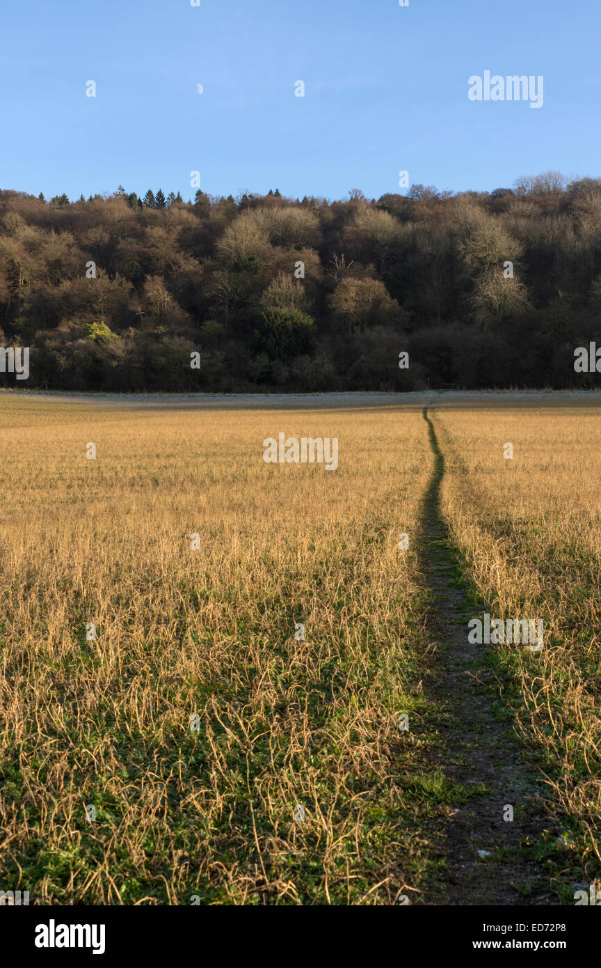Winter in the Chiltern hills Buckinghamshire England. Footpath through ...