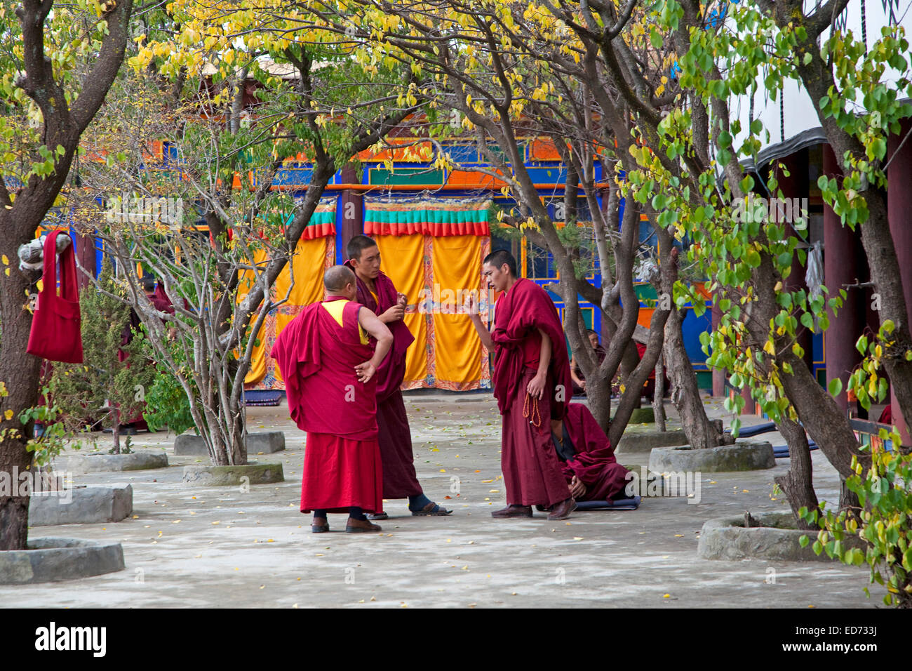 Tibetan monks in Kandze Monastery / Ganzi Monastery near Garzê Town ...
