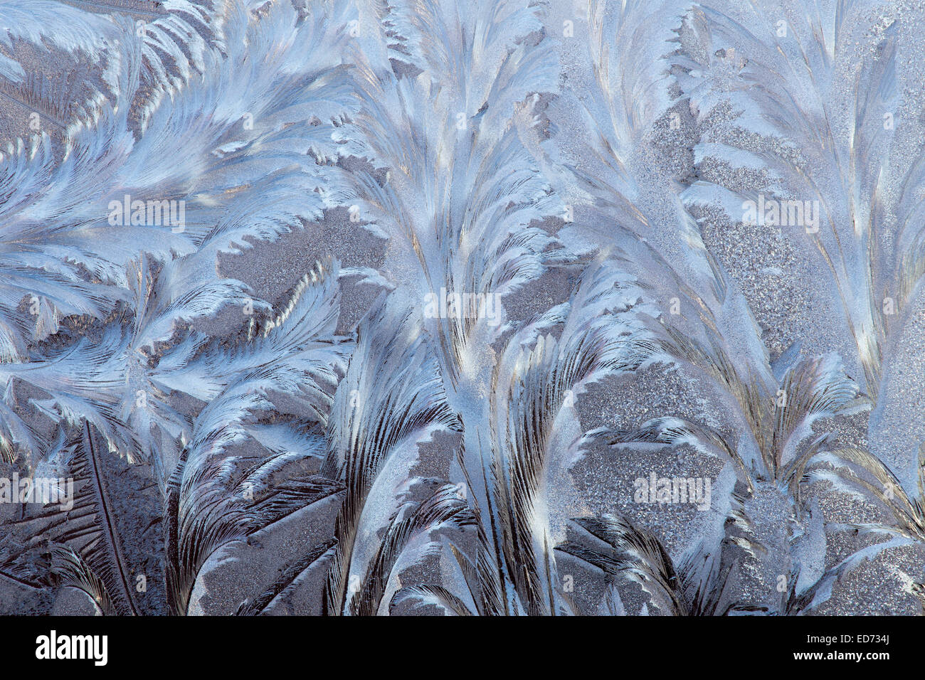 Frost on the window Stock Photo - Alamy