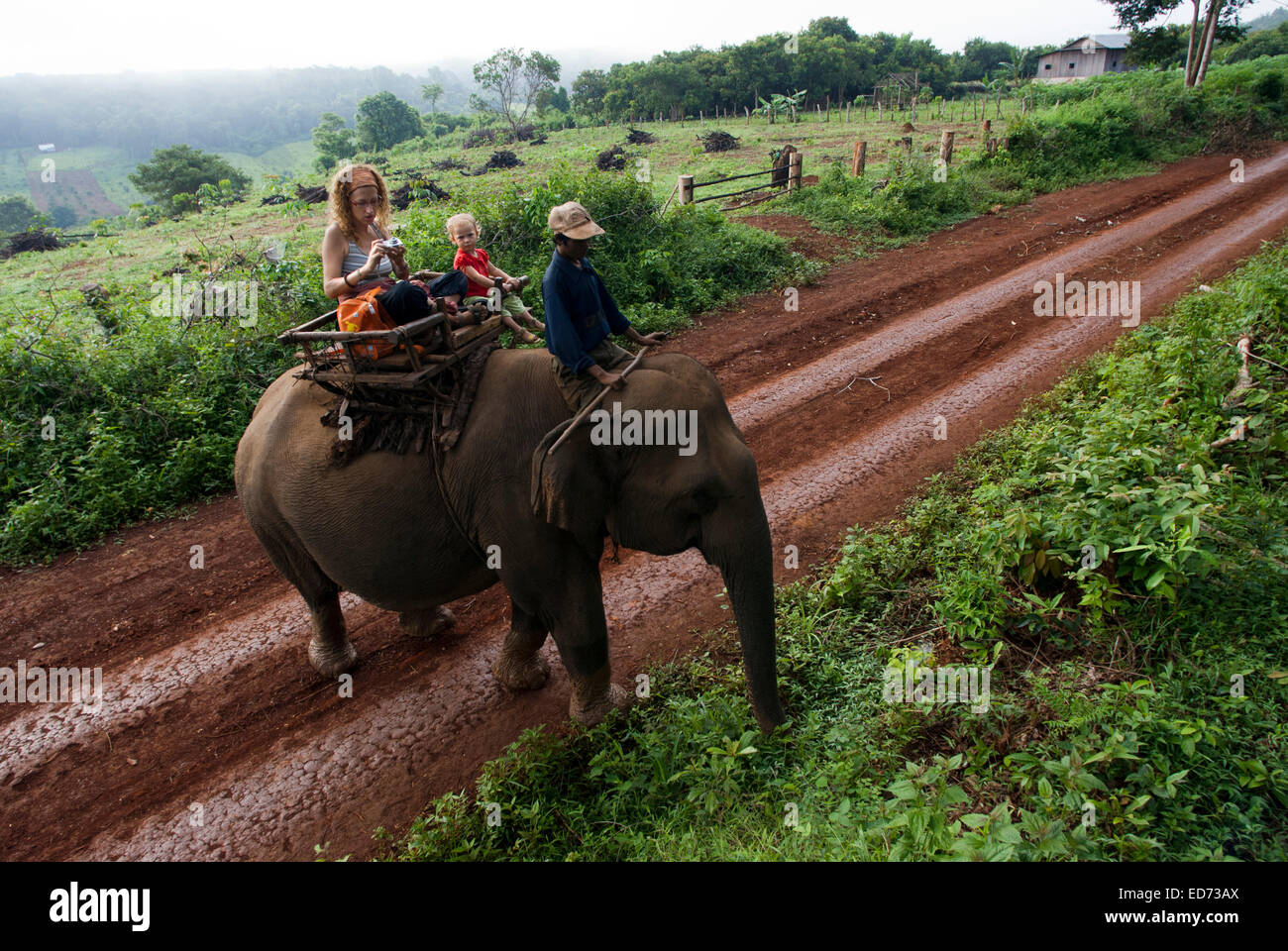 Travel with children’s. Mother riding a elephant with her daughter ...