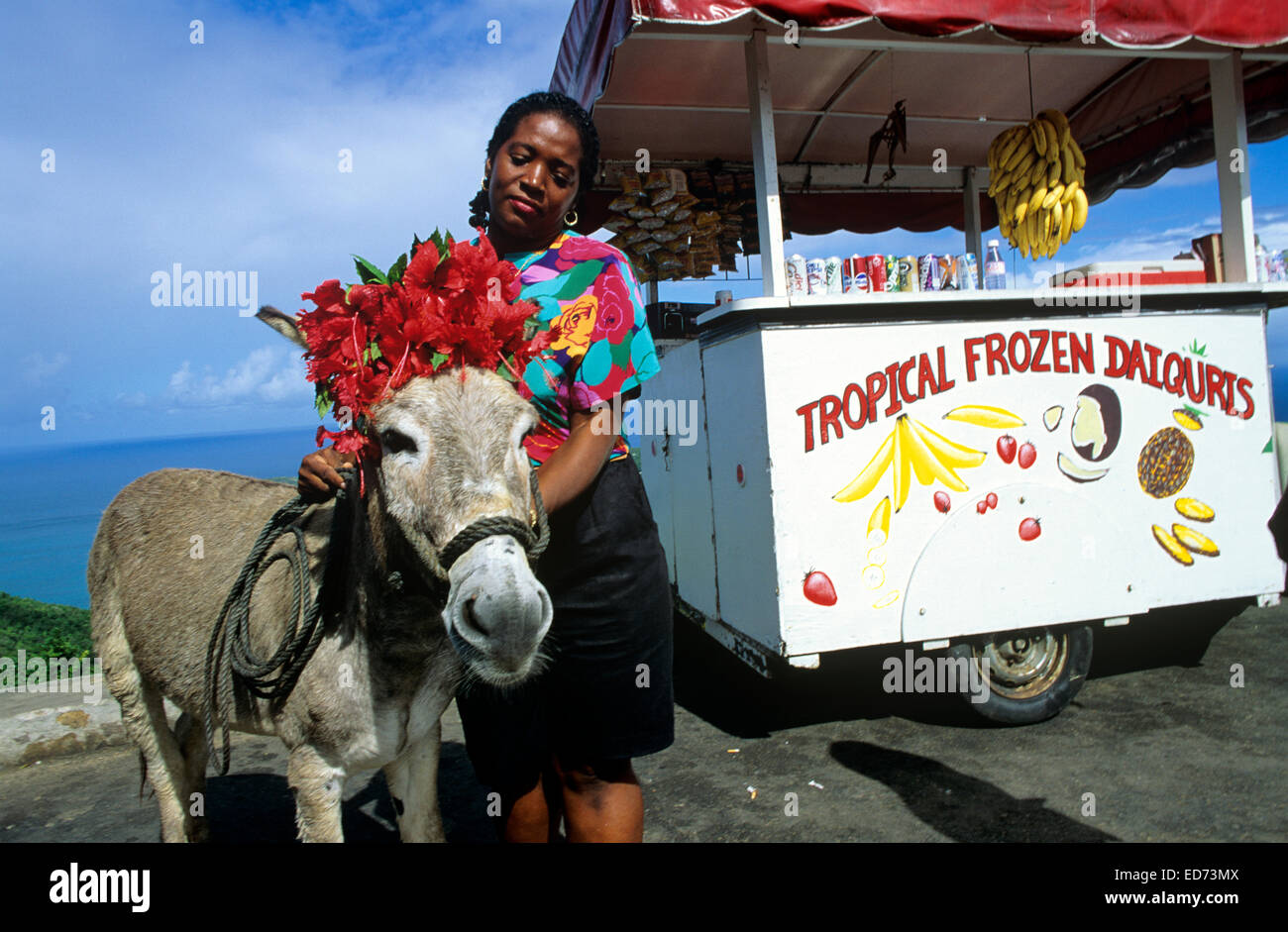 A donkey named Tom Jones with his pal Nora at Drake's Point, St. Thomas ...