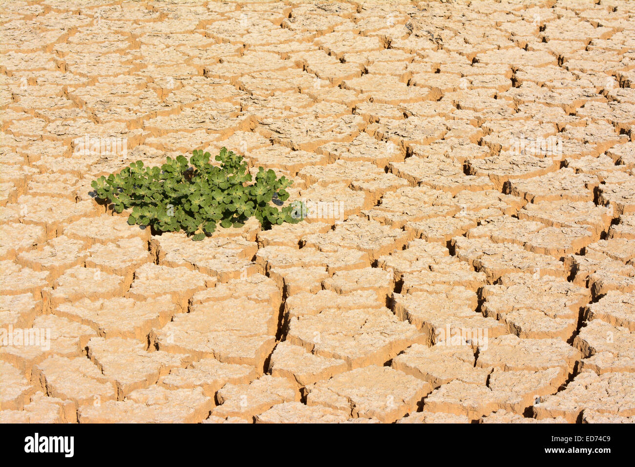 Life and struggle hi-res stock photography and images - Alamy