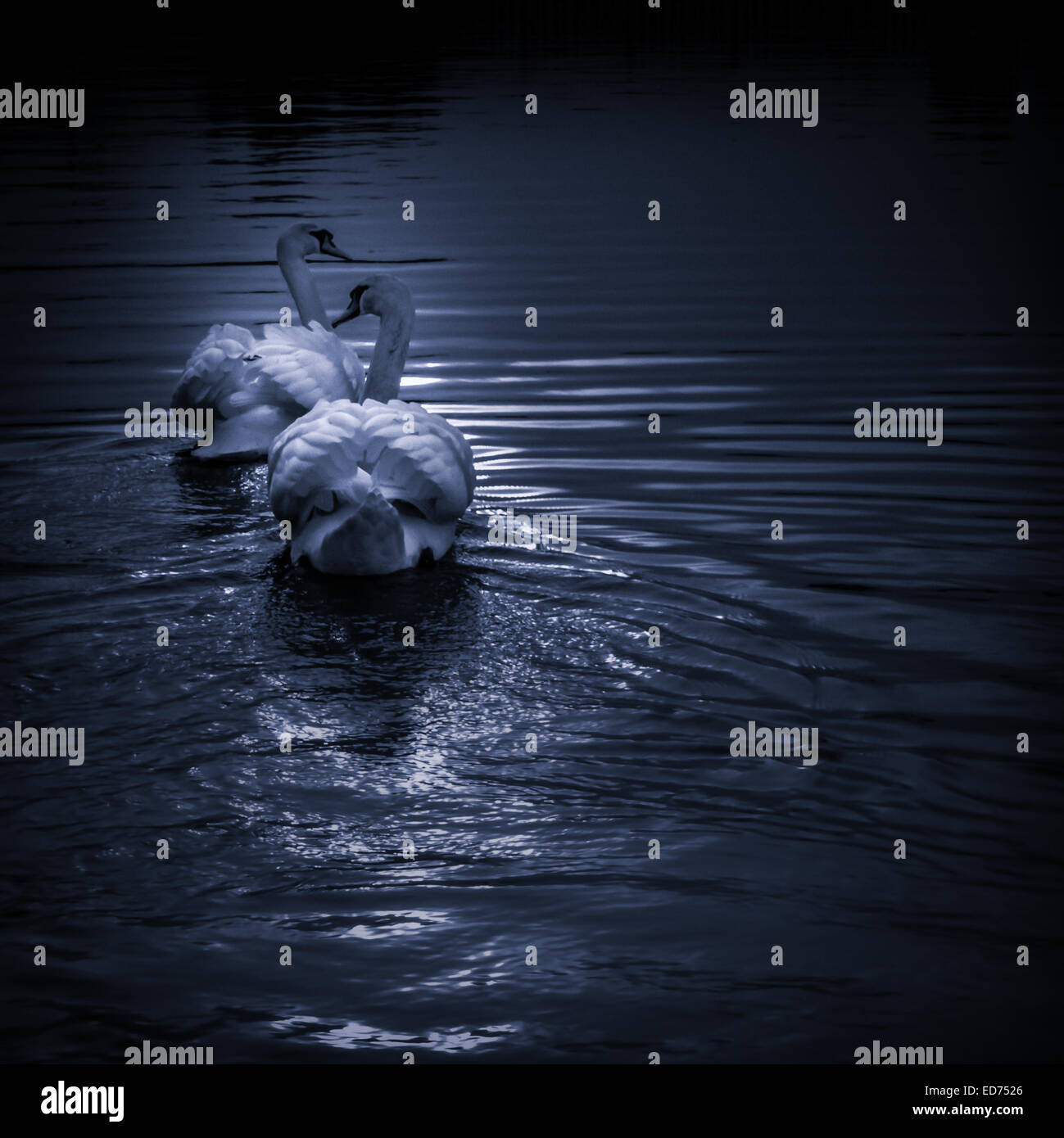 Wings of light hi-res stock photography and images - Alamy