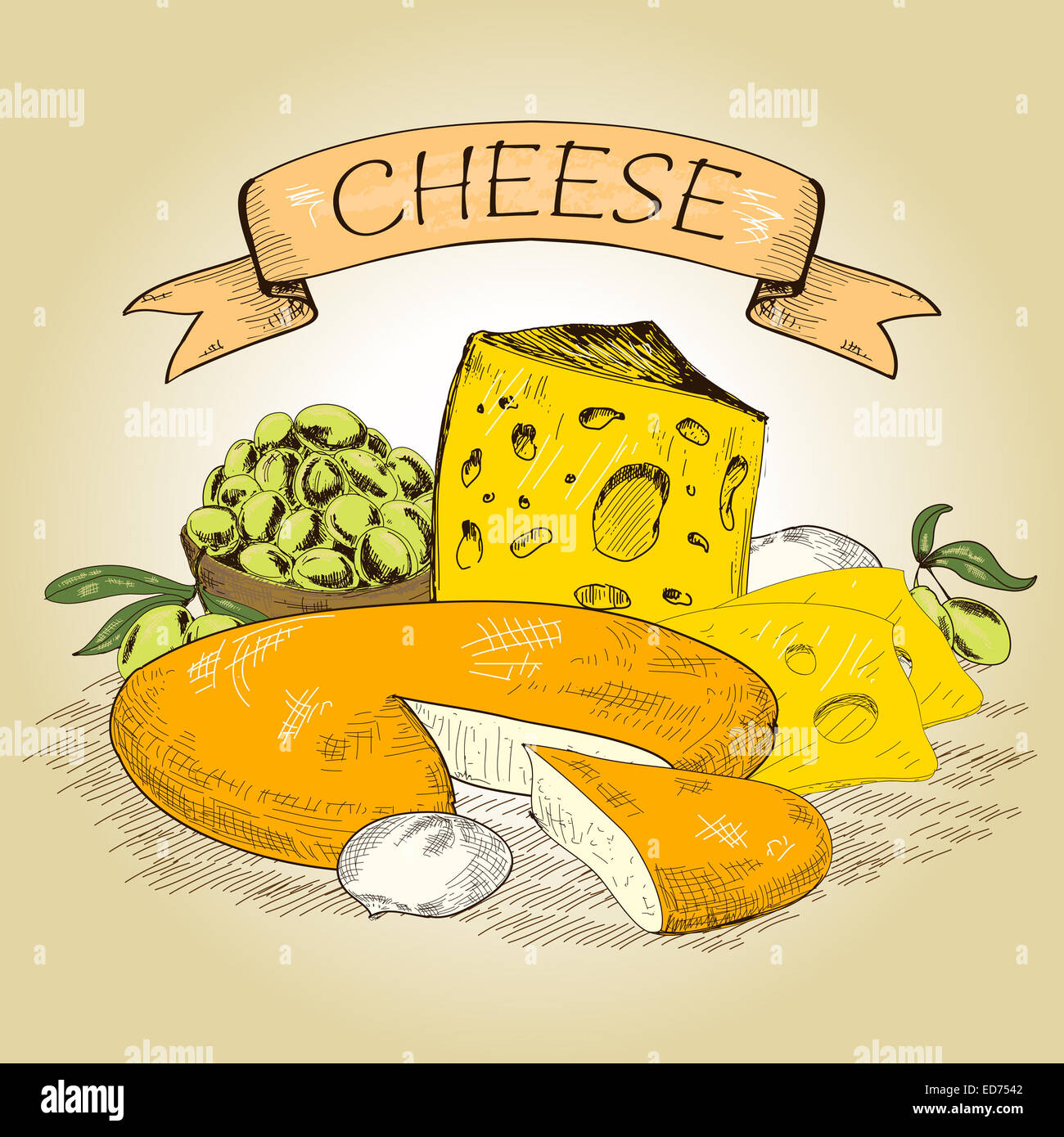 Cheese. Composition with different cheeses. Hand drawn graphic Stock ...