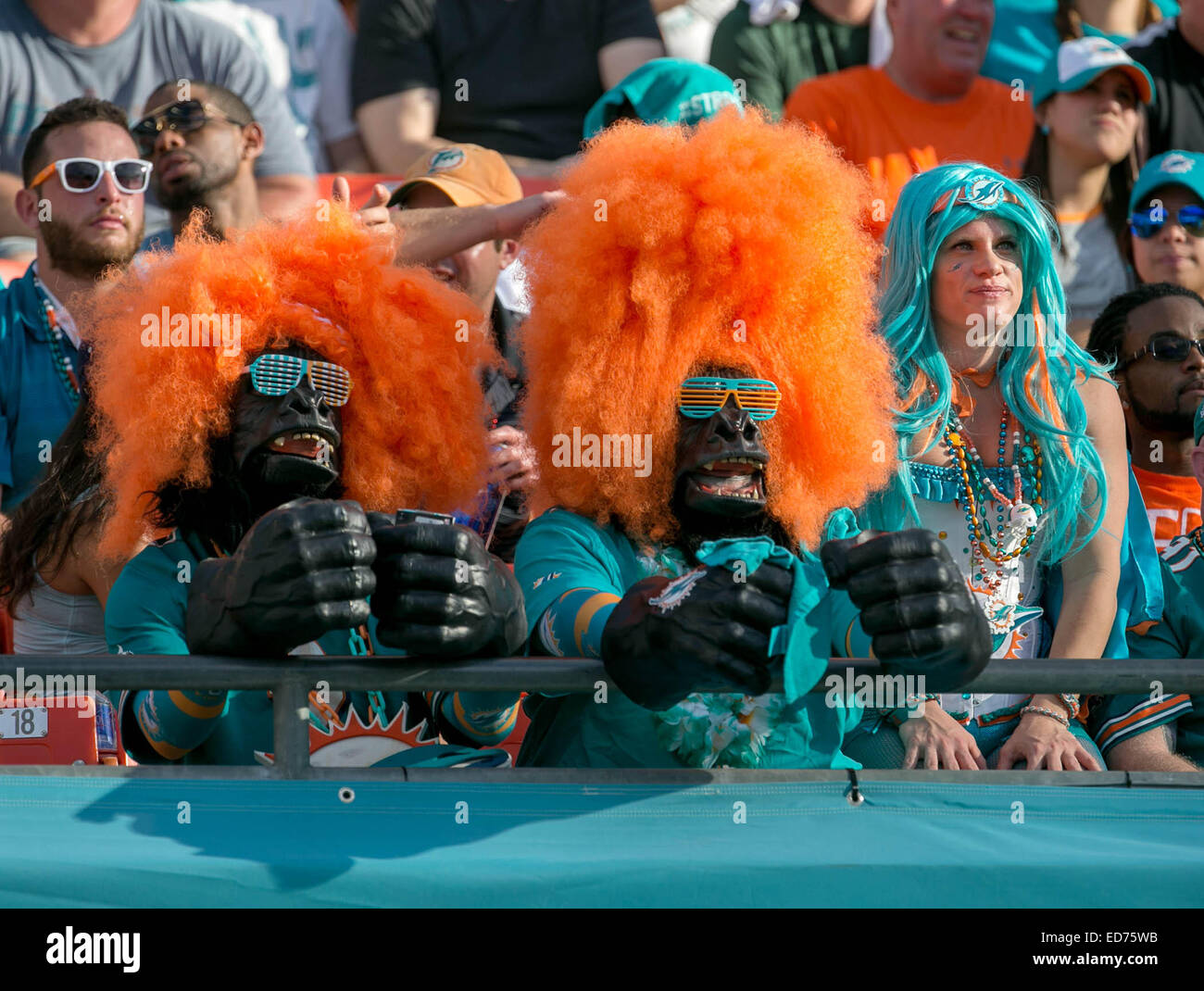 Miami dolphin fans hi-res stock photography and images - Alamy